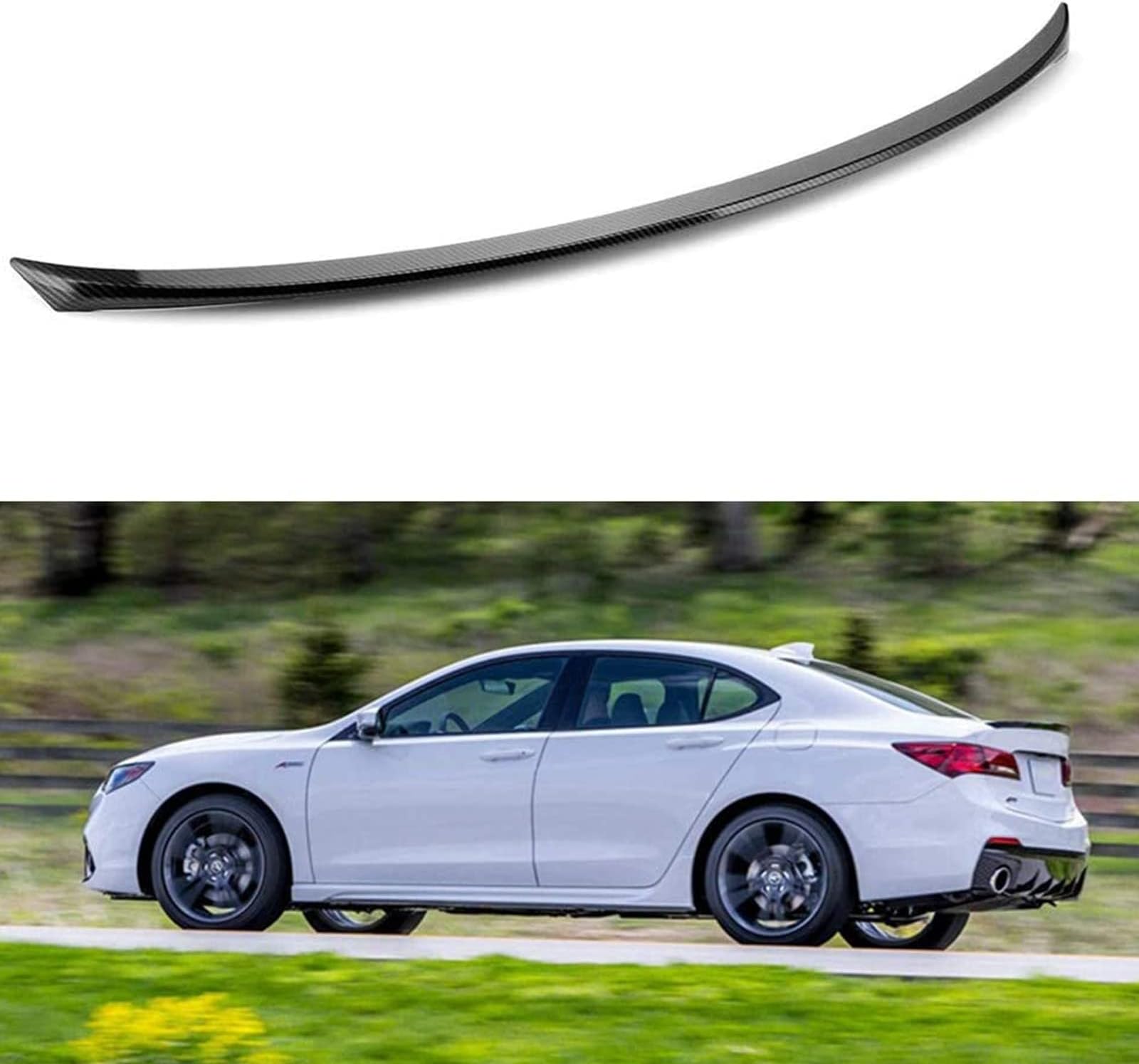 Amazon.com: HK5 Black Real Carbon Fiber Type S Style Rear Trunk Lid ...