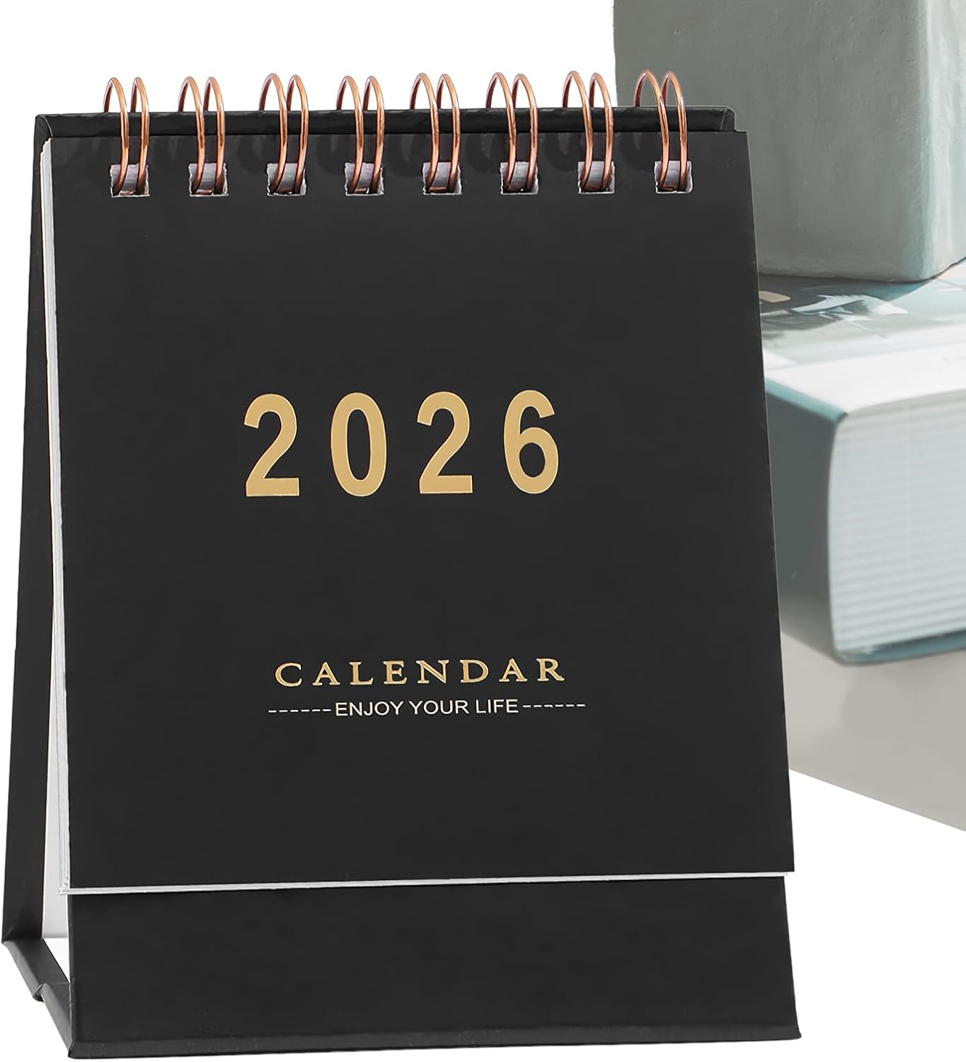 Bvizyelck Bureaukalender 2025-2026 Klein - Planner Kalender Voor Bureau ...