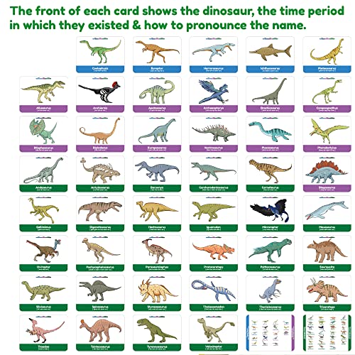 Snapklik.com : Dinosaur Flash Cards For Kids - Learn Dinosaurs Game