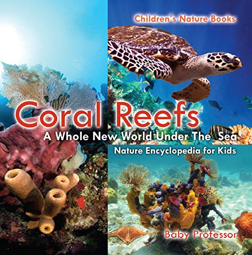 Amazon.com: Coral Reefs : A Whole New World Under The Sea - Nature ...