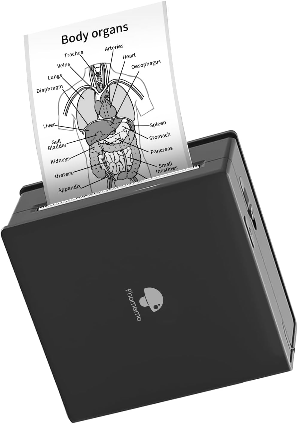 Amazon.com: Phomemo Print Pod- M02 Mini Pocket Printer Inkless Note ...