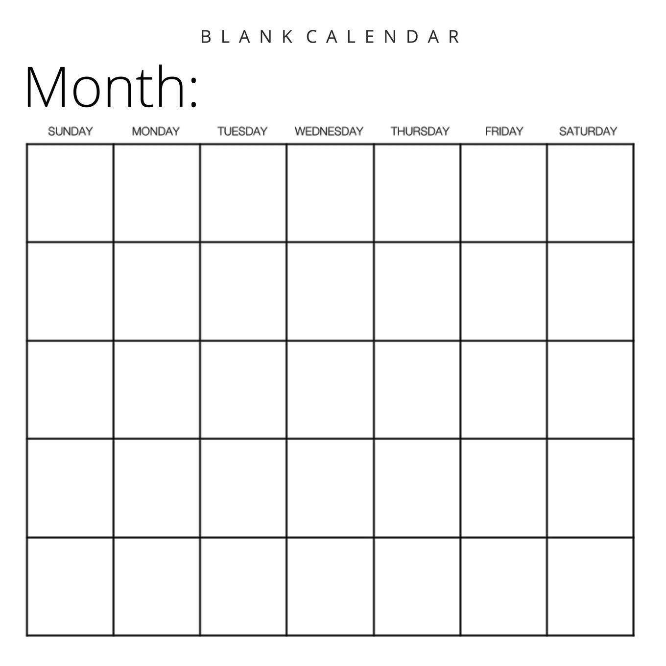Blank Calendar: White Background, Undated Planner for Organizing, Tasks ...