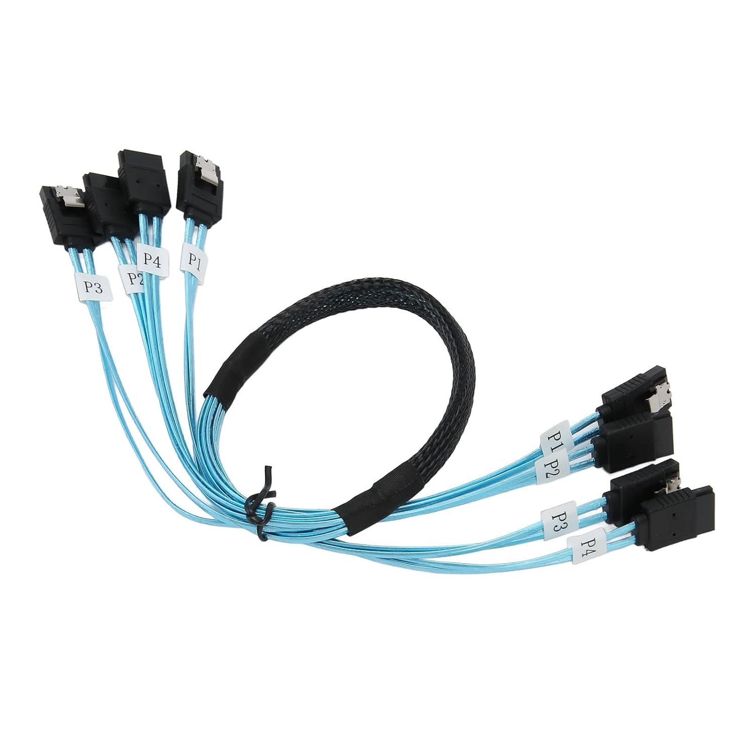 Bewinner Internal MINI SAS to SATA Cable, 7Pin to 4X SATA Cable 1.6ft ...