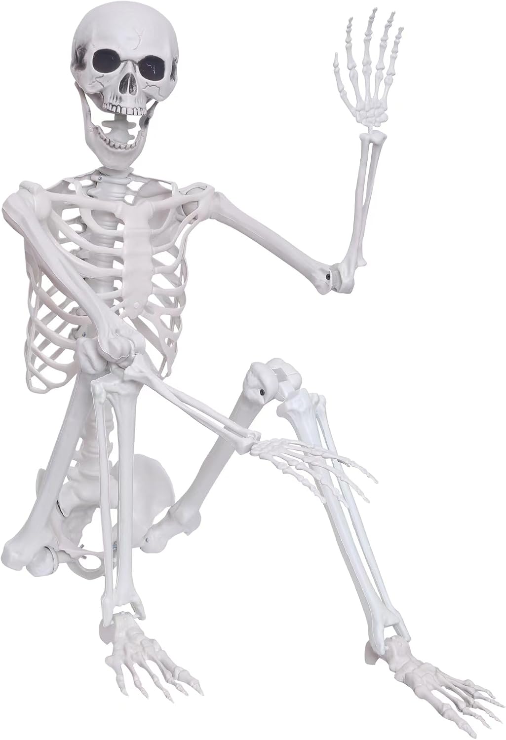 Amazon.com : QSBOFOST 5.4Ft Halloween Skeleton Life Siz Skelenton ...