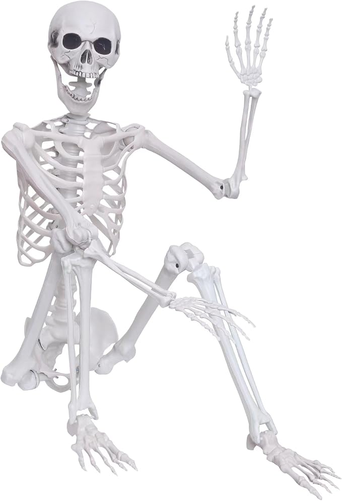 Amazon.com : QSBOFOST 5.4Ft Halloween Skeleton Life Siz Skelenton ...