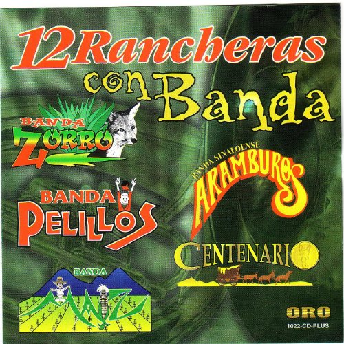 Amazon.com: 12 Rancheras con Banda : VARIOUS ARTISTS: Digital Music