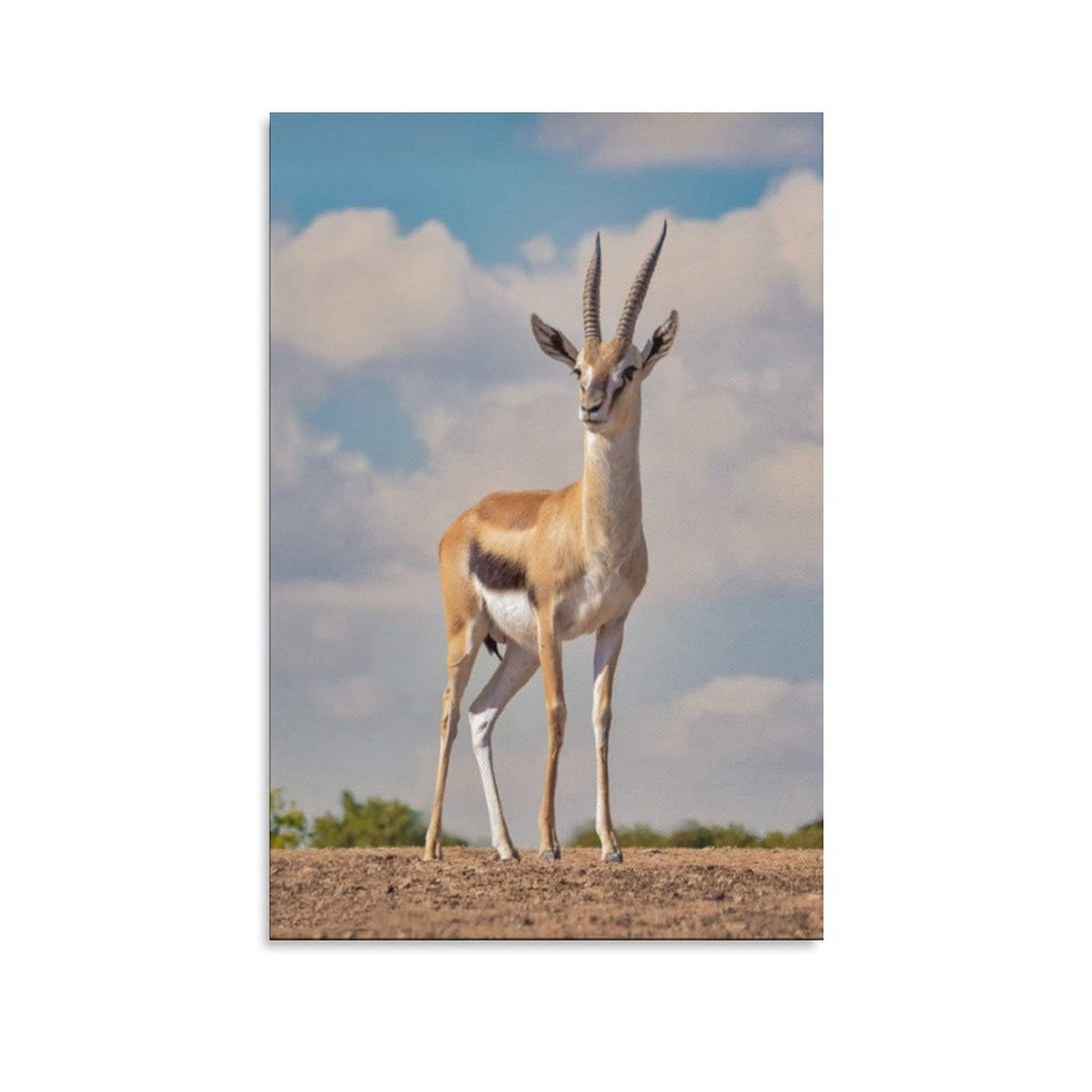 Gazelle Art