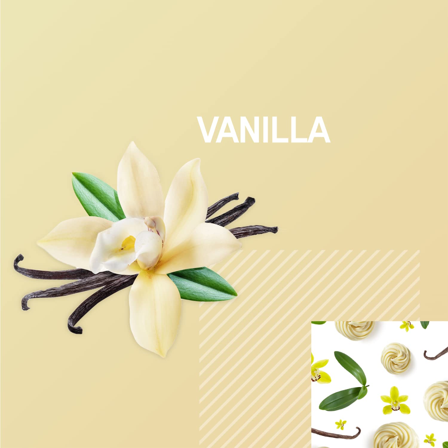 Snapklik.com : Gold Standard Protein Shake, 24g Protein, Ready To Drink Protein Shake, Gluten ...