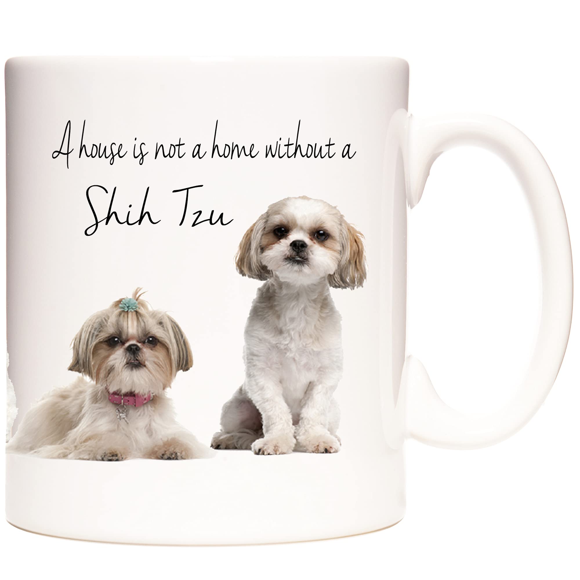 Teetasse Shih Tzu Yorkie Mix 180+ Fotos, Bilder Und Lizenzfreie Bilder
