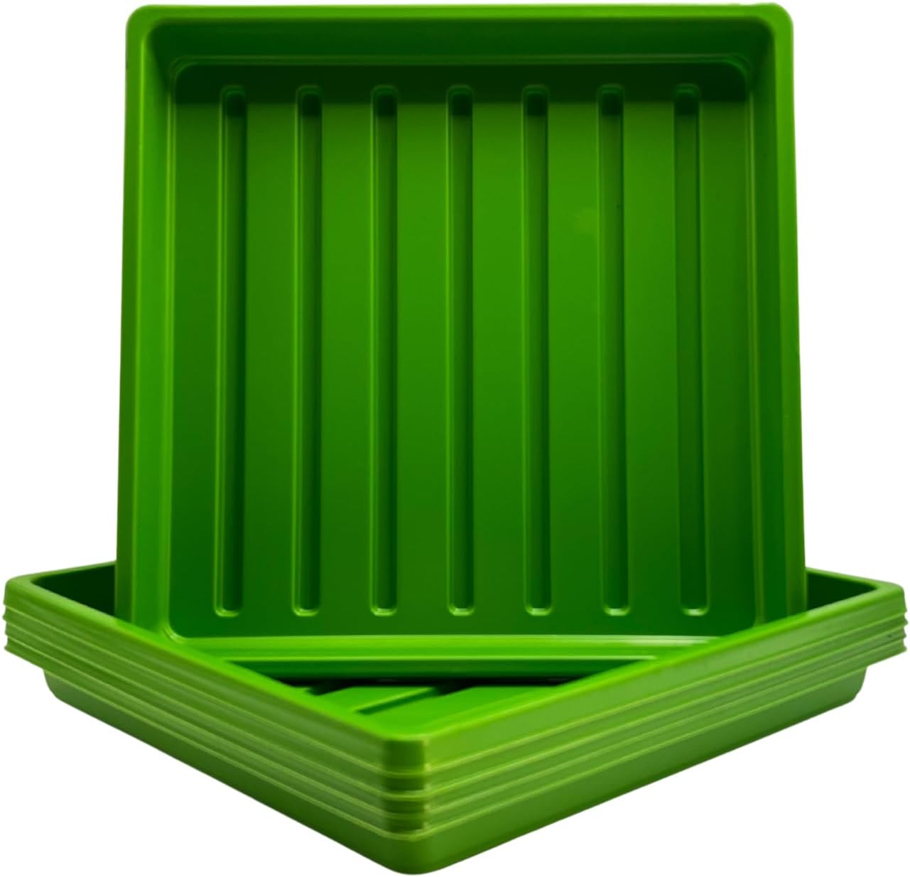 Amazon.com : 10 Pack Seed Sprouter Tray with Drain Holes - BPA Free ...