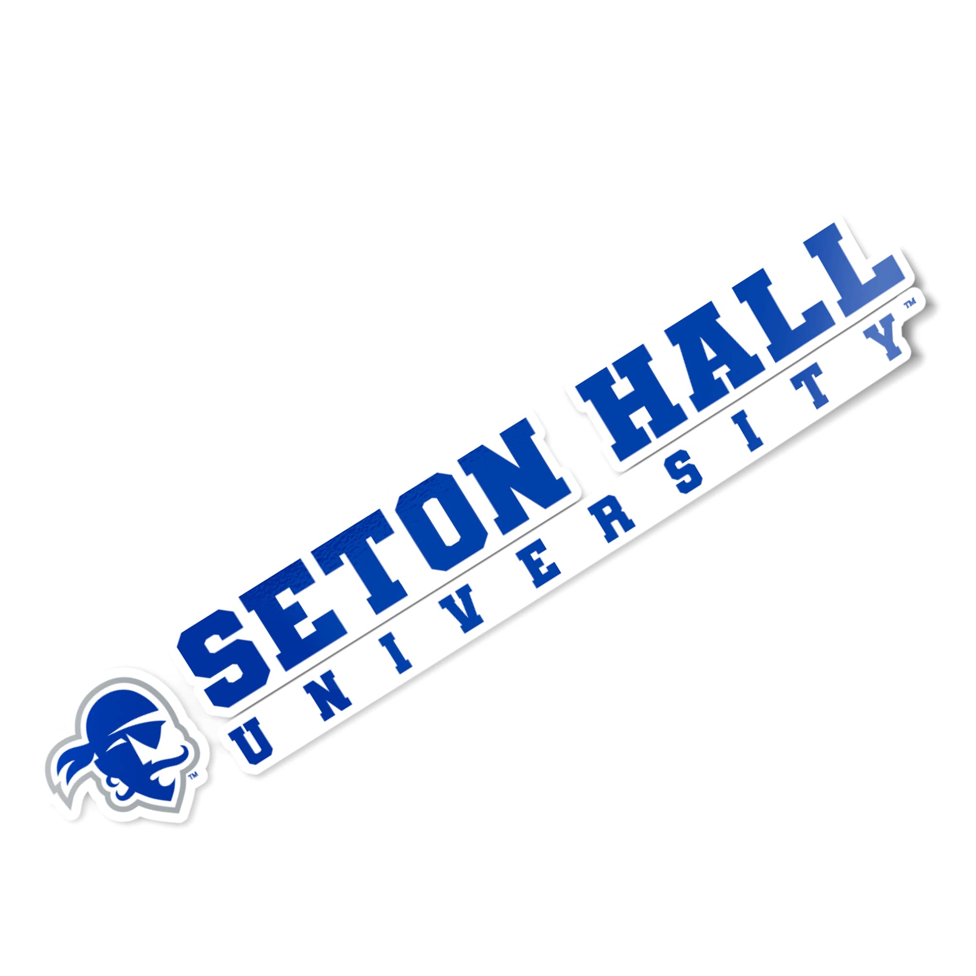 Amazon.com: Desert Cactus Seton Hall University Pirates Name Logo Vinyl ...