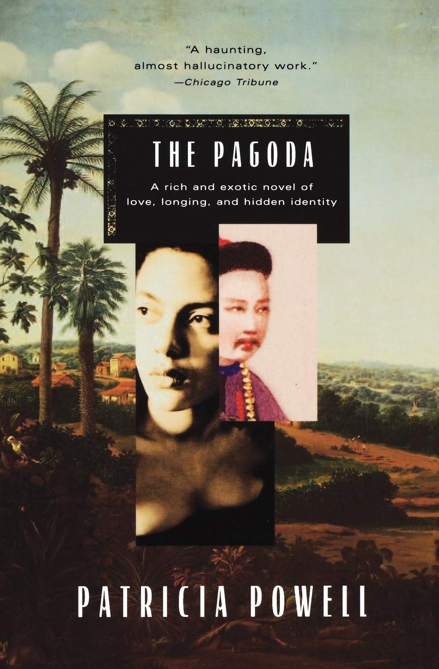 Amazon.com: The Pagoda: 9780156008297: Powell, Patricia: Books