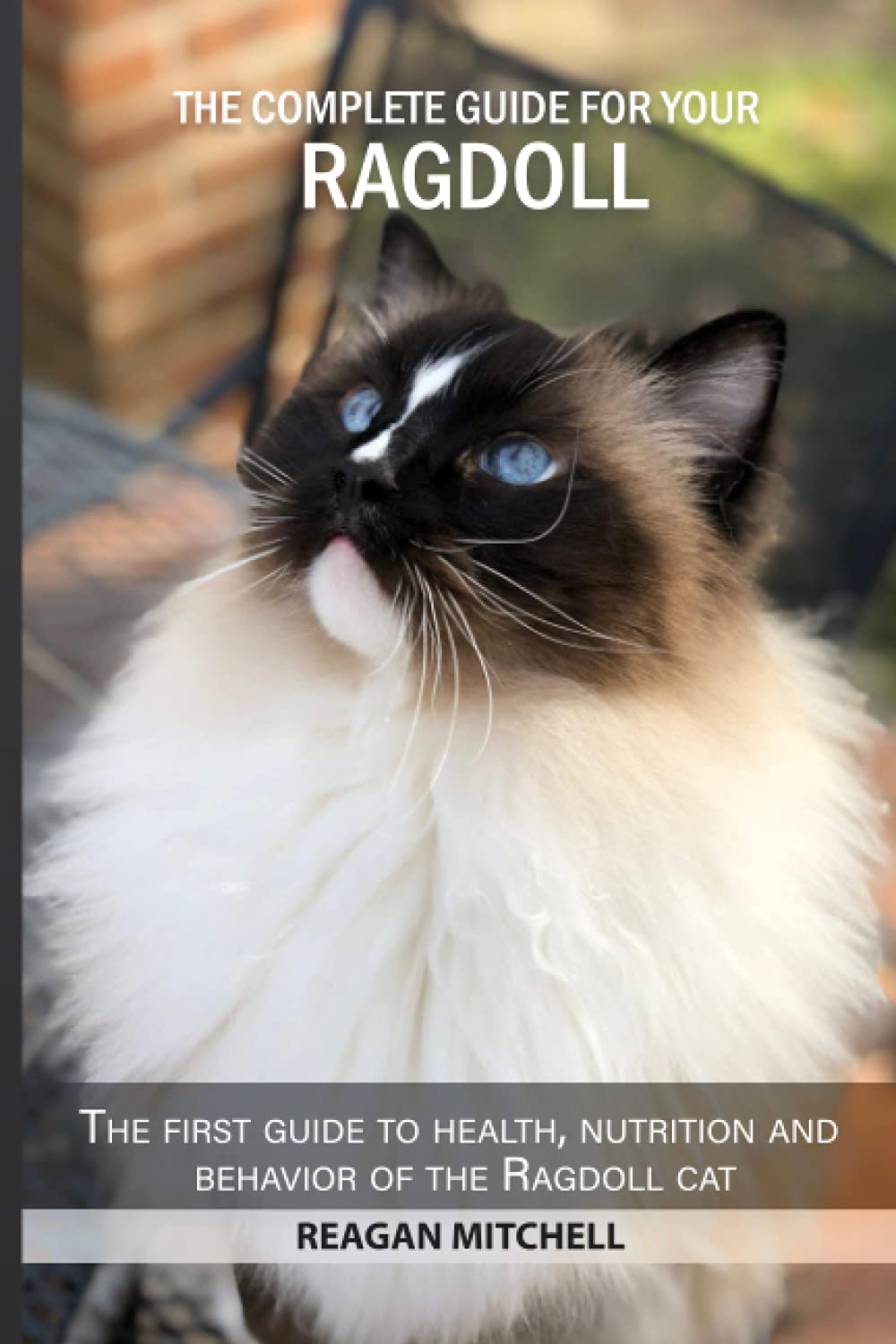 The complete guide for your Ragdoll cat: The first guide to health ...