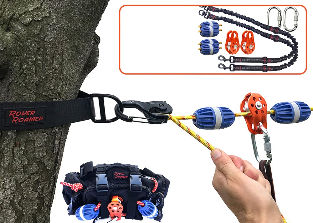 are-aerial-dog-runs-safe