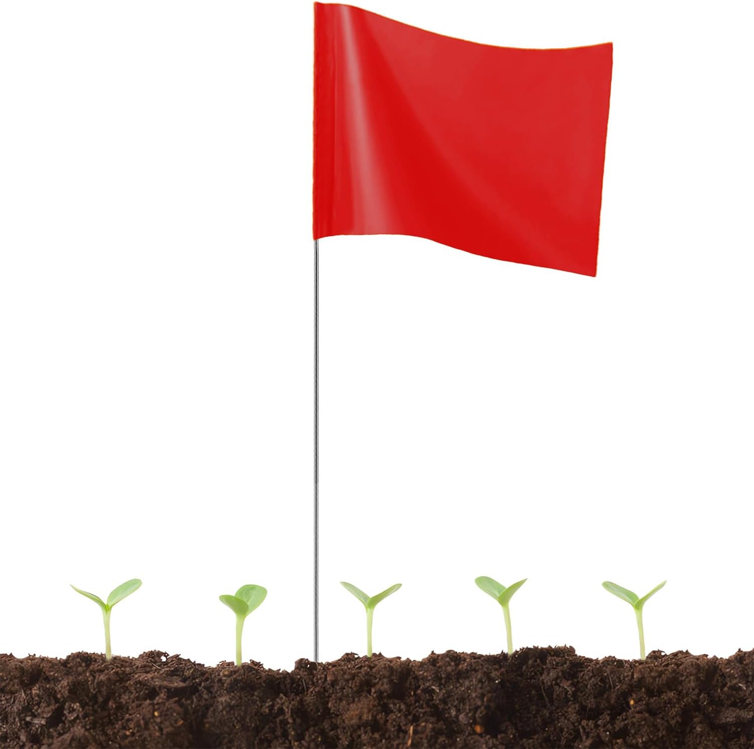 Amazon.com : JIZHGRAD Dog Invisible Fence Training Flags for Yard ...