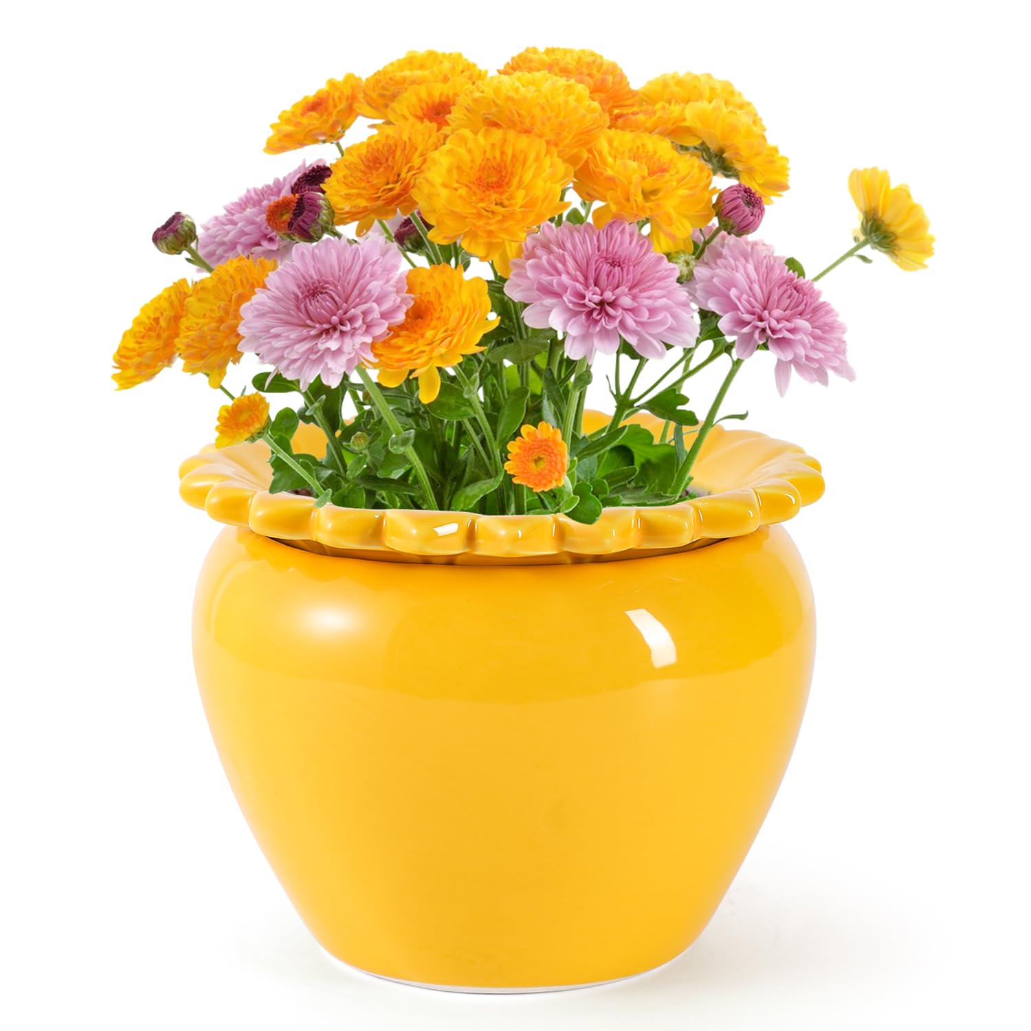 Amazon.com: Lovely Ran 8in Self Waterring Terracotta Planter Yellow ...