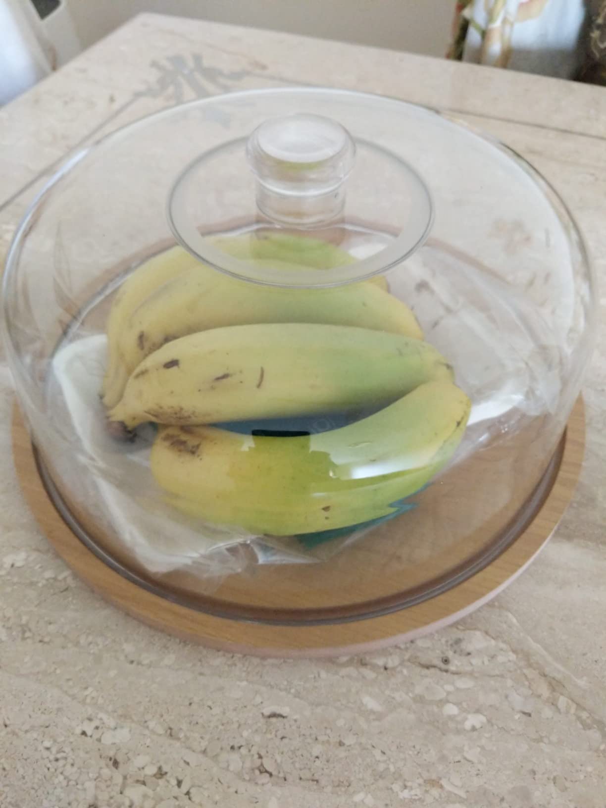 REPLEX Wooden Cake Stand with Acrylic Dome, Round Cake Dessert Serving ...