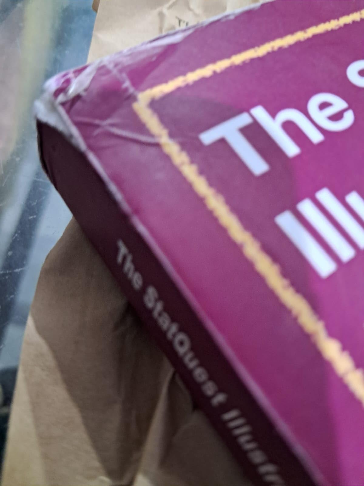 Buy The StatQuest Illustrated Guide to Neural Networks and AI, with hands-on examples in PyTorch ...