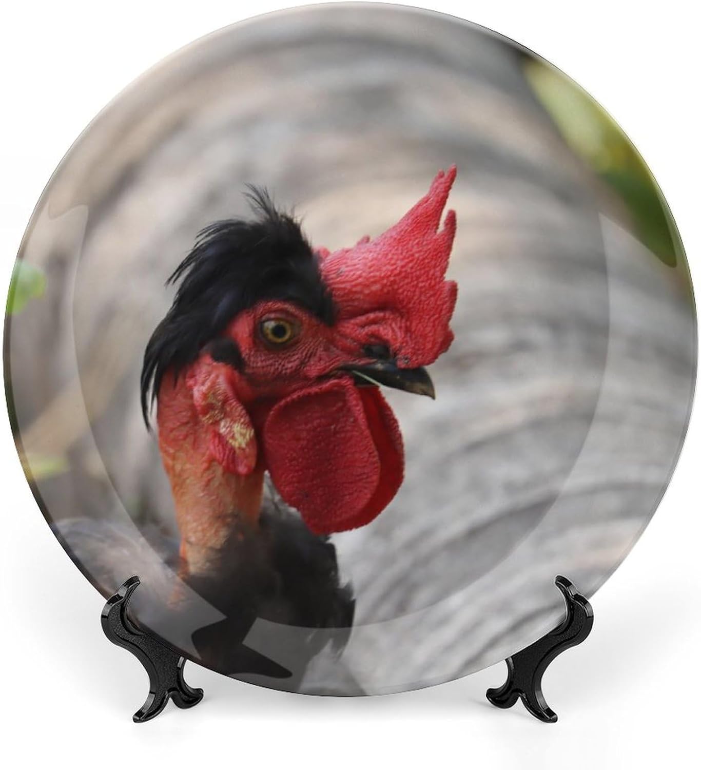 Amazon.com | Hen Chicken on Plate, Commemorative Decorative Plates ...