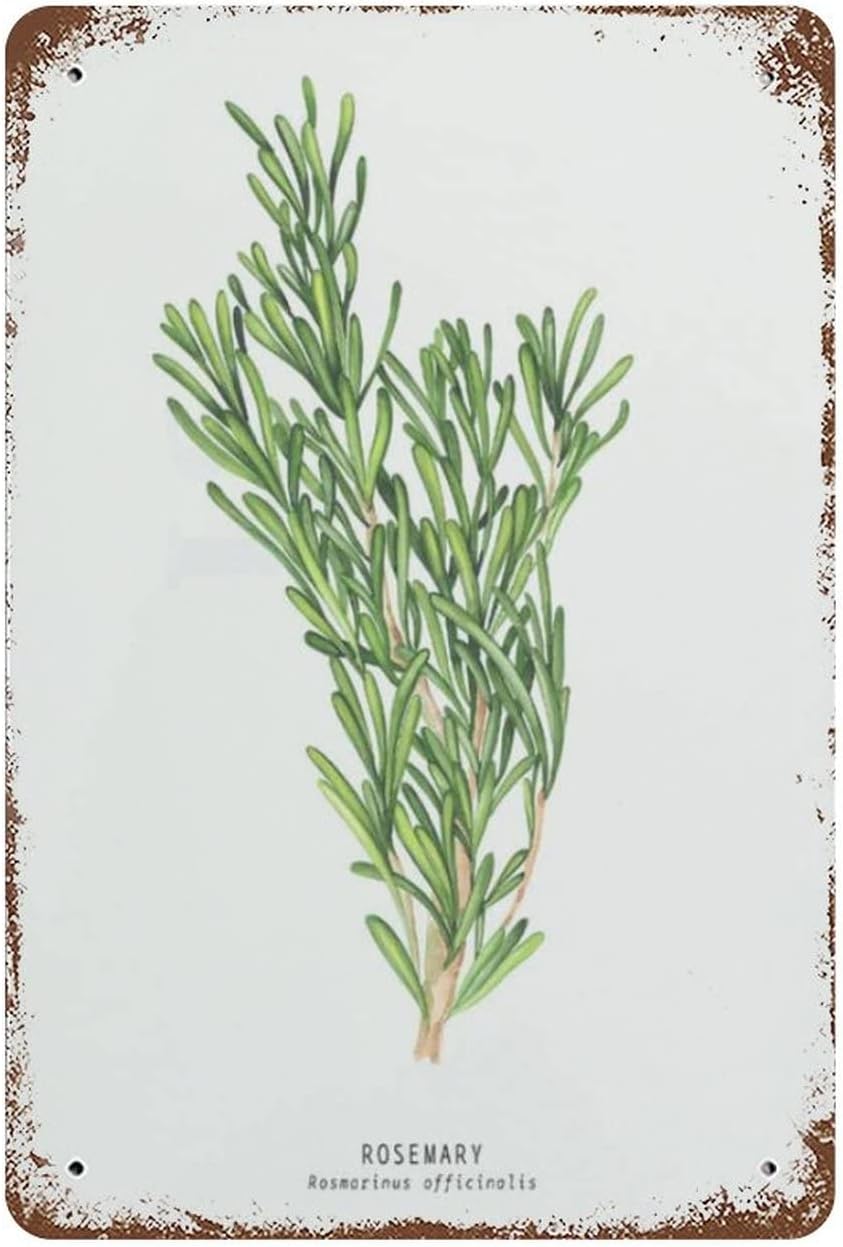 Amazon.com: VIOFLOW Vintage Metal Tin Sign Rosemary Herb Homeschool ...