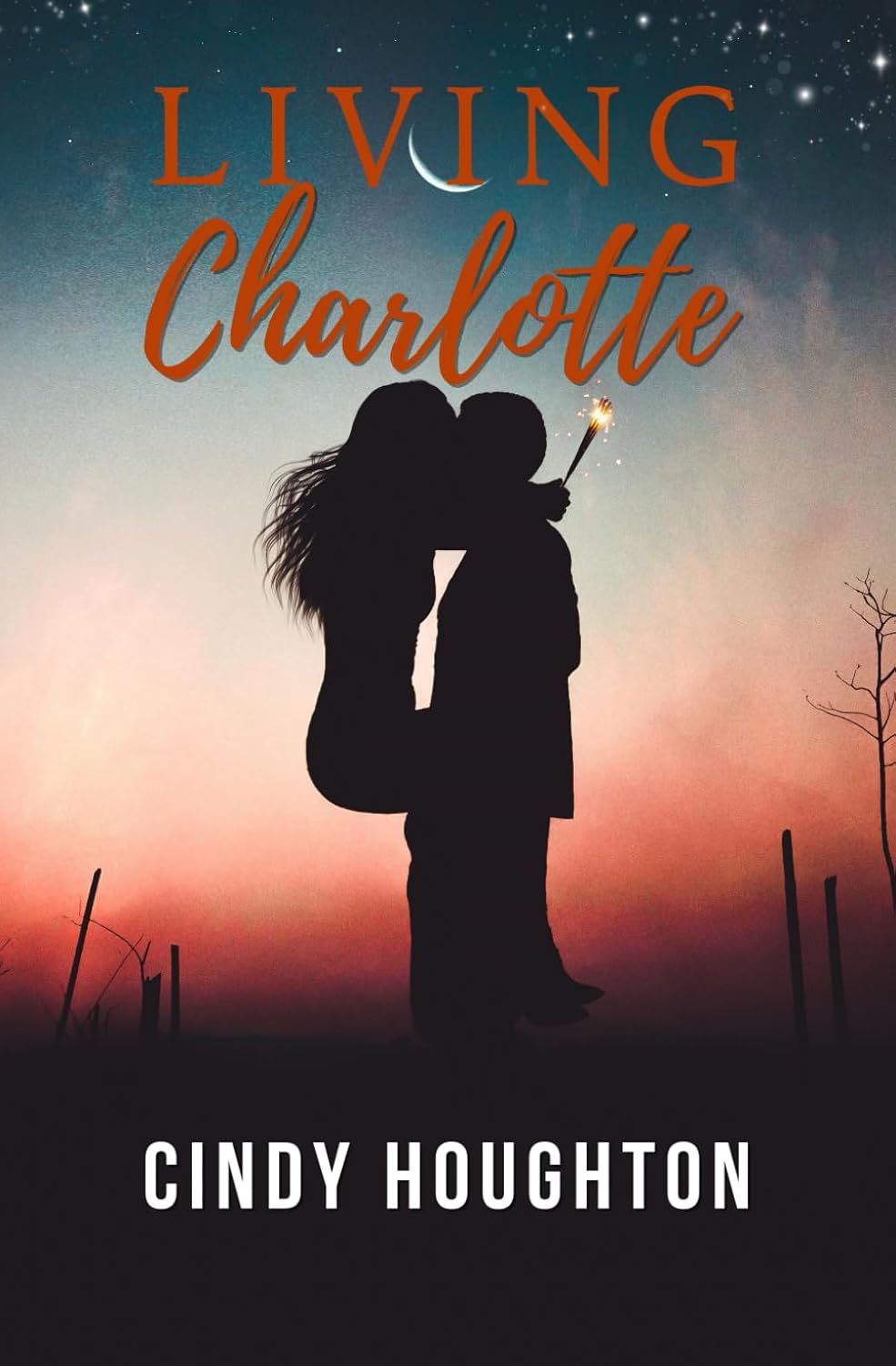 Amazon.com: Living Charlotte: 9798860289673: Houghton, Cindy: Books