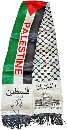 Fgbetcv Palestine Flag Scarf,Freedom for Palestine Flag Scarf,I Stand ...