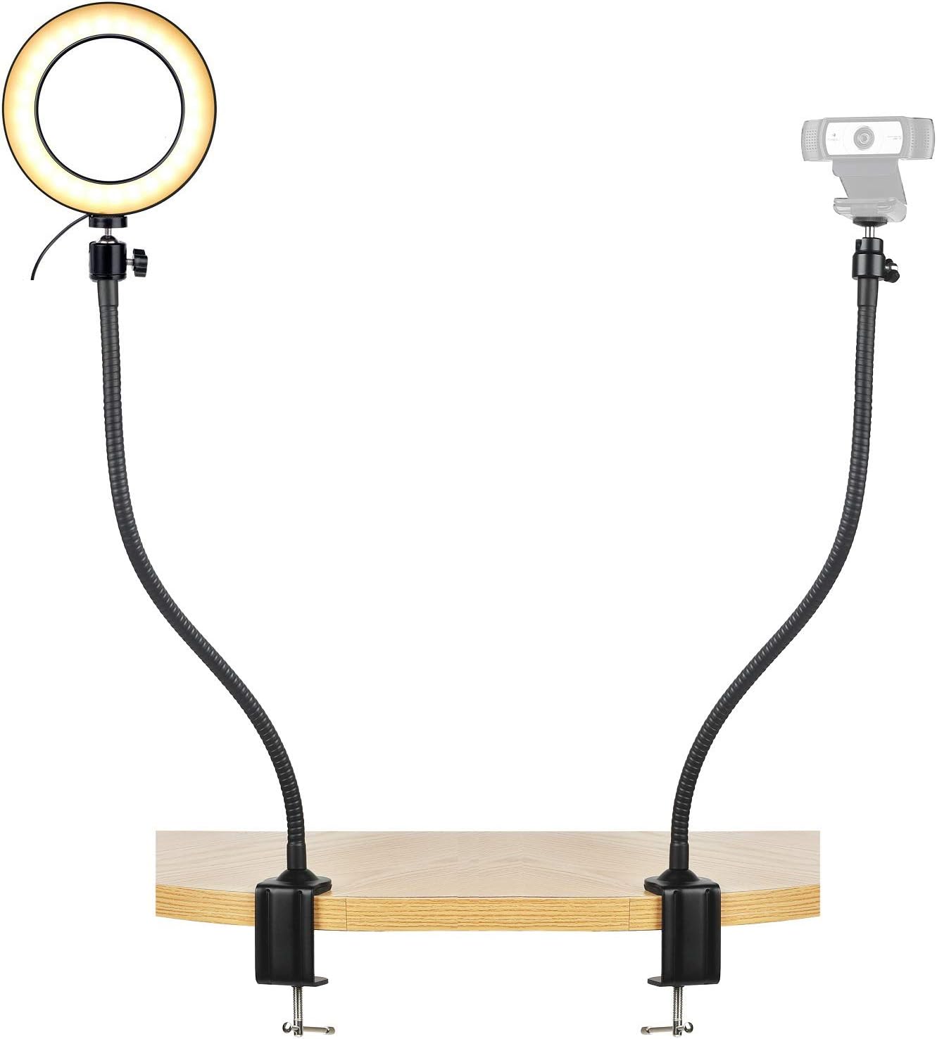 Amazon.com: Magnetic Webcam Light with Stand,10 Inch Ring Light with ...