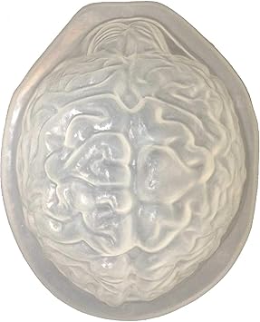 Amazon.com: DIY Life Size BRAIN DESSERT GELATIN MOLD Zombie Food ...