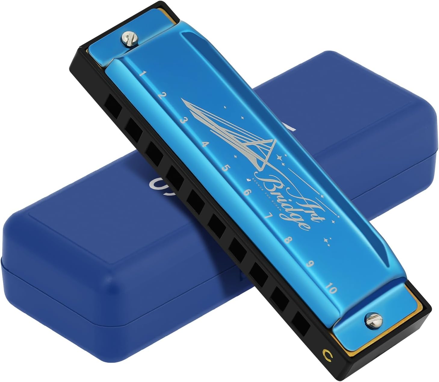 Amazon.com: 10 Holes 20 Tones Diatonic Harmonica Key of C with Blue ...