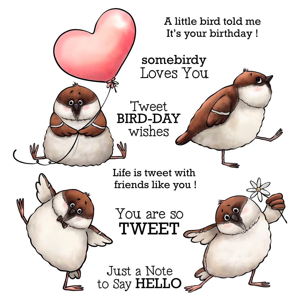 Cute Bird Memes Funny Parrot Moments: Hilarious Bird Videos