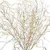 Amazon.com: Firlar 5 PCS Gold Sparkle Curly Ting Branch, 21in Glitter ...