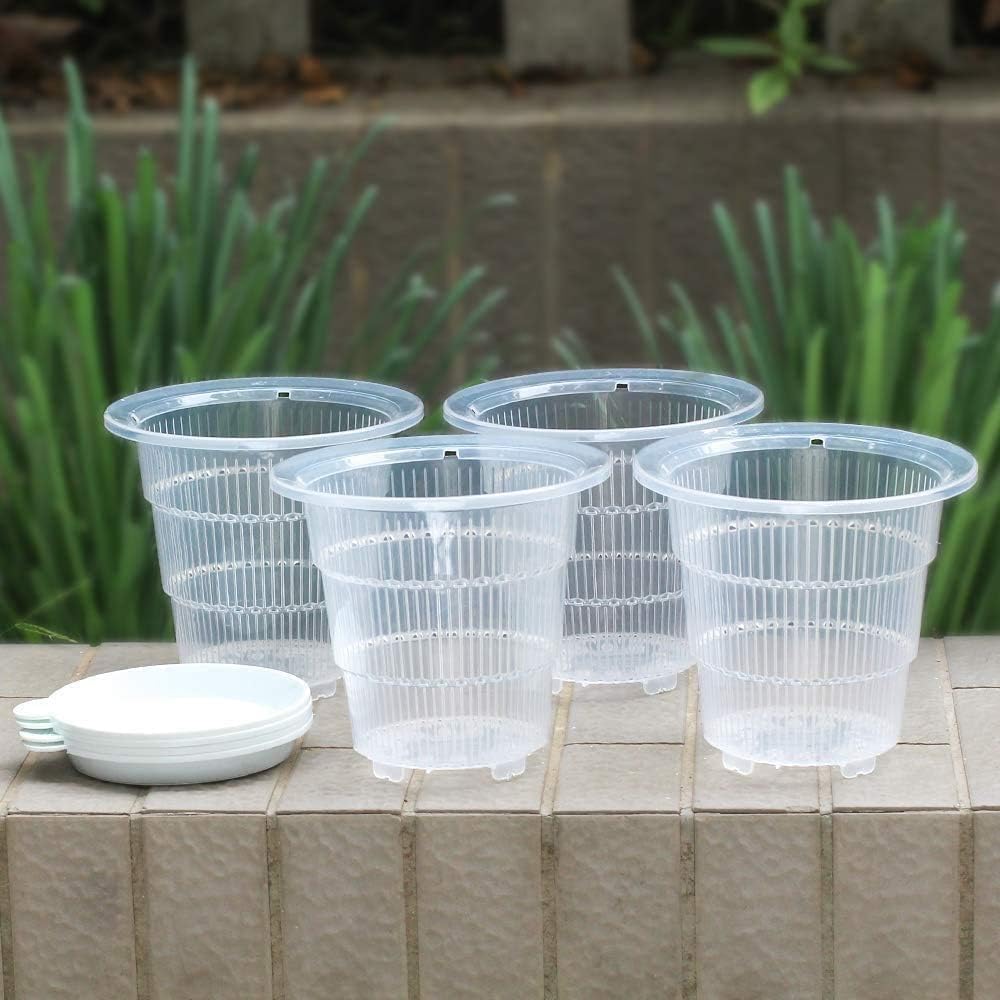 Amazon.com: Meshpot 4 Inch Clear Orchid Pots with Holes and Saucers ...