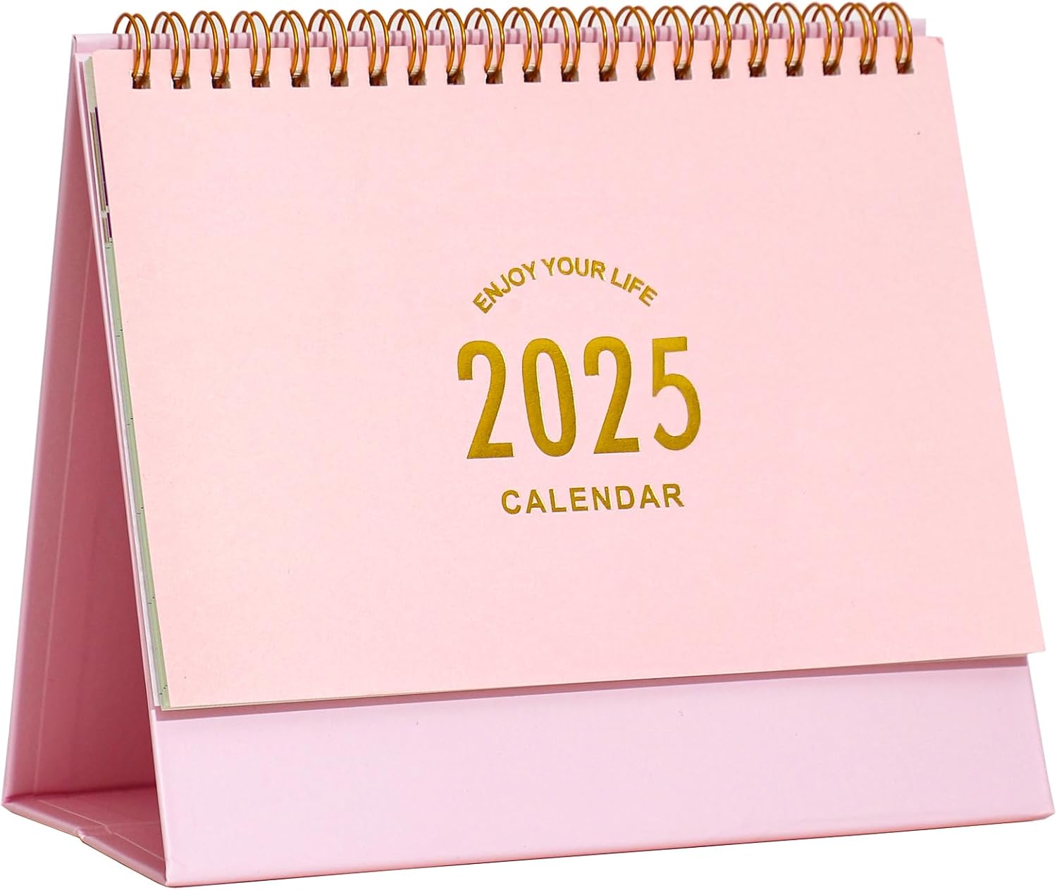 Amazon.com : Small Desk Calendar 2025, Standing Flip Desk Calendar with ...