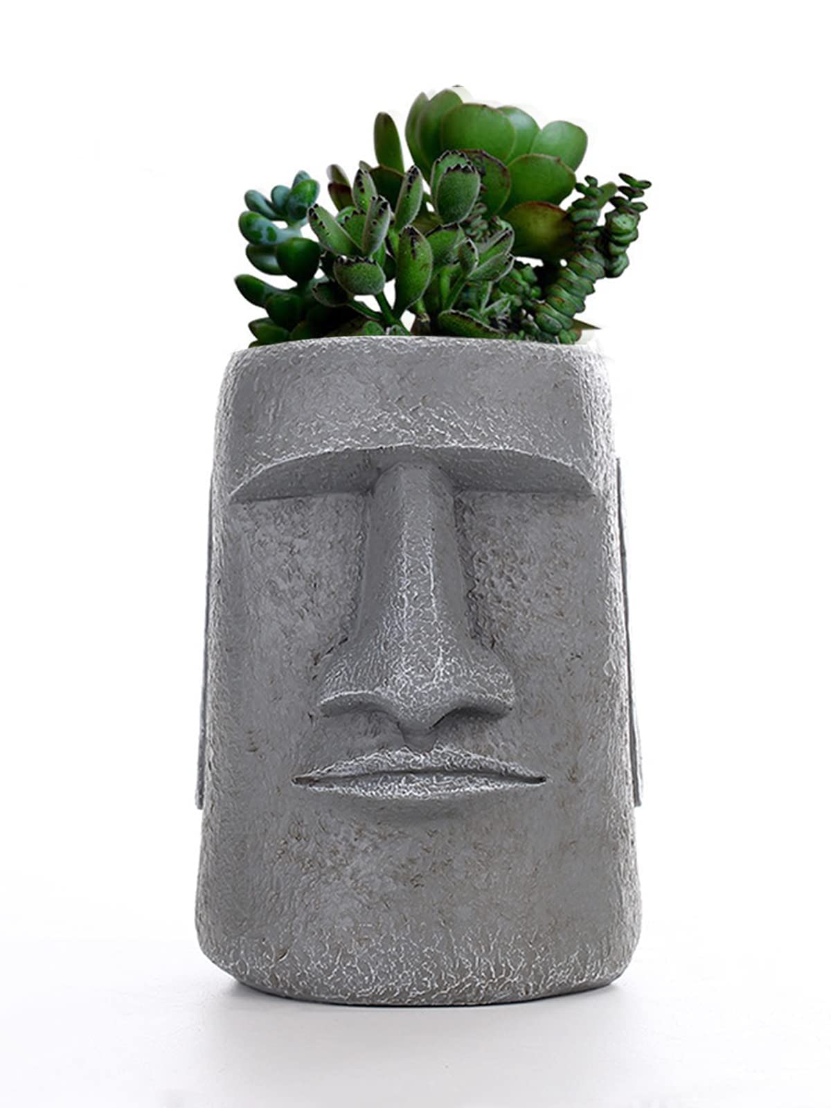 Amazon.com : Lifexquisiter Easter Island Moai Head Statue Succulent ...