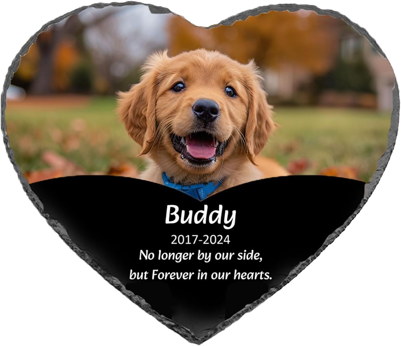 Amazon.com : Overket Personalized Pet Memorial Stone with Photo Name ...