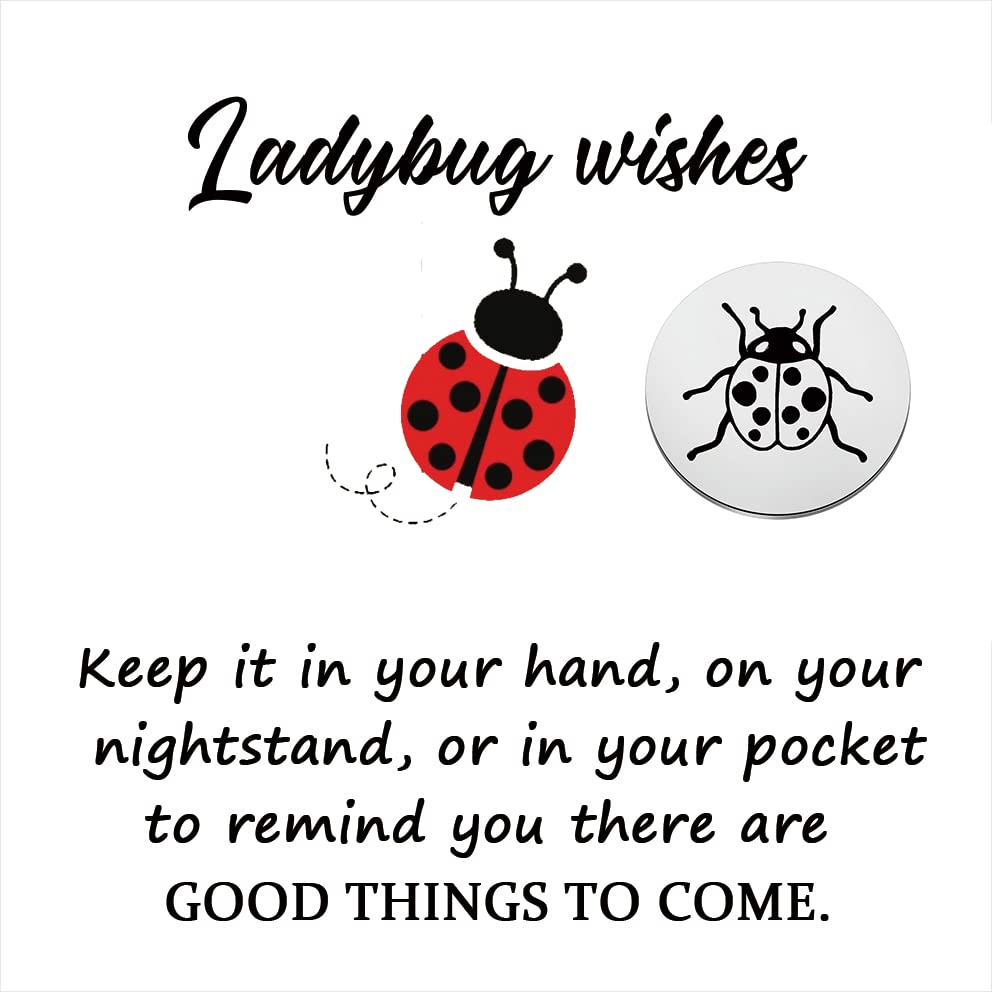 Ladybug Sayings For Cards Ladybug CVC Clip Cards For Spring