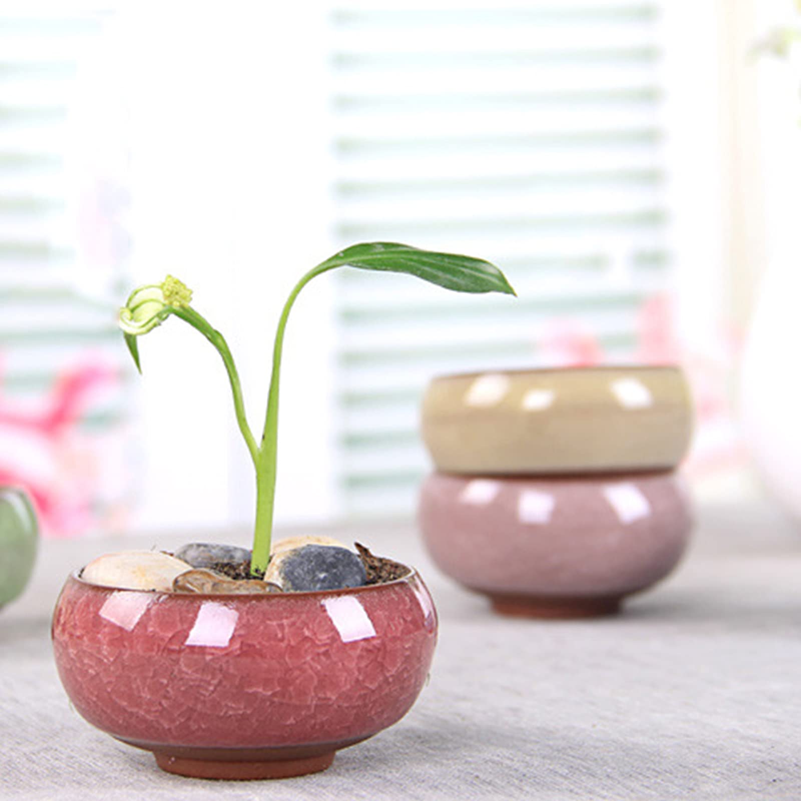 Mini Macetas Con Semillas FUCNEN Macetas De Plástico Para Plantas De