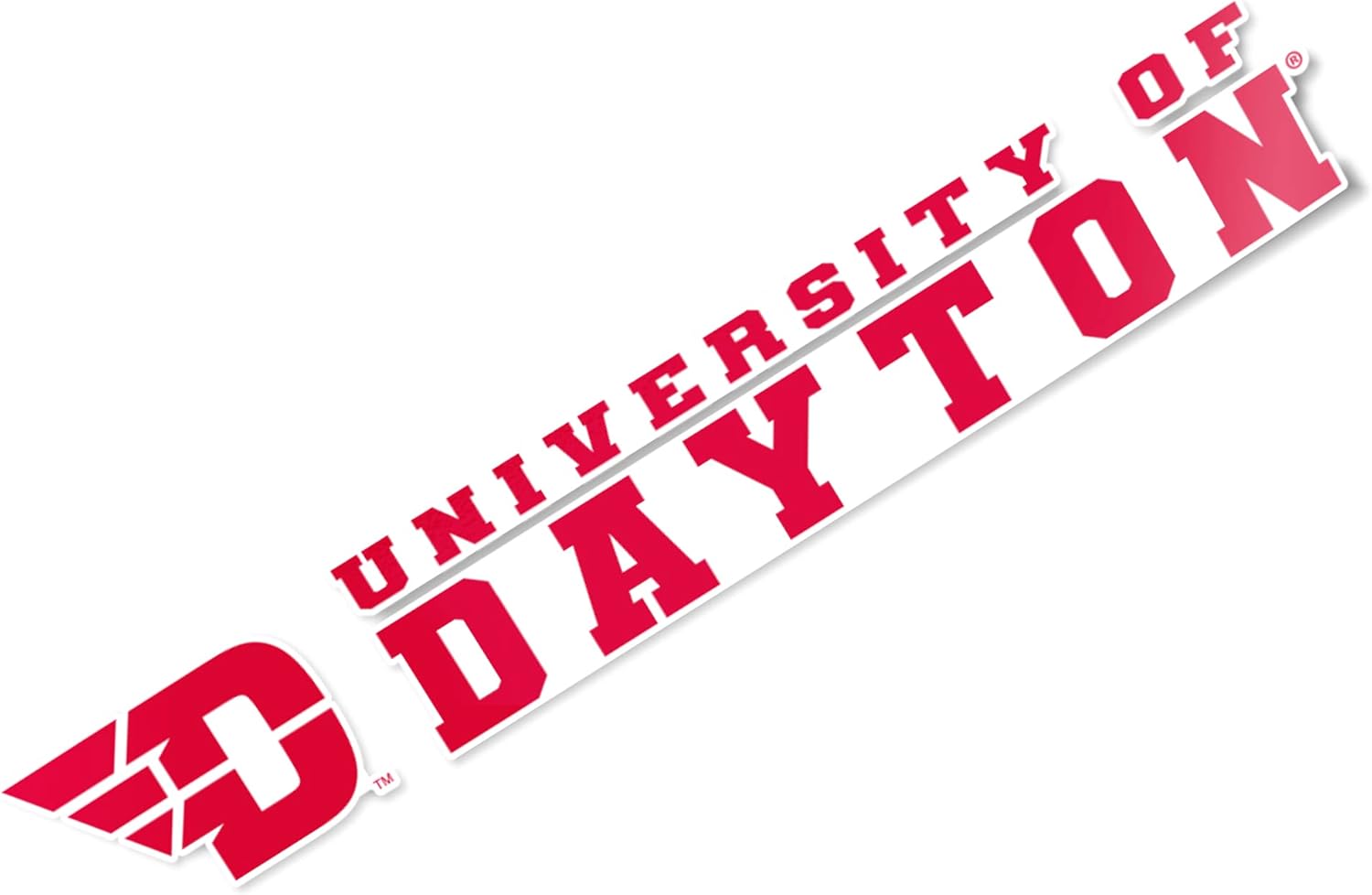 Amazon.com: Desert Cactus University of Dayton Sticker Flyers UD Name ...