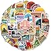 Amazon.com: Travel Around The World Stickers 50 Pack Vinyl Laptop ...