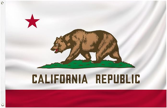 Amazon.com : California Flag 3x5 FT California State FLAG Polyester CA ...