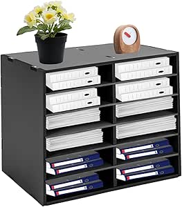 Amazon.com : Liffshsy Desktop Literature Organizer, 12 Slots Classroom ...