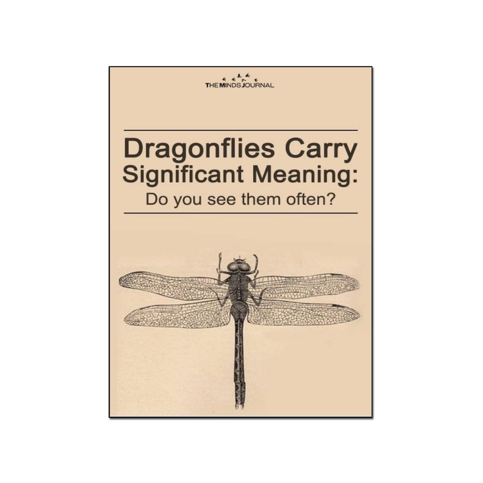 Amazon.com: Popular Science Poster The Spiritual Meaning of Dragonfly Retro PosterCanvas Painting Wall Art Poster for Bedroom Living Room Decor24x32inch(60x80cm): Posters & Prints amazon-com-popular-science-poster-the-spiritual-meaning-of-dragonfly-retro-postercanvas-painting-wall-art-poster-for-bedroom-living-room-decor24x32inch-60x80cm-posters-prints