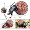 Amazon.com: Aydinids 2 Pcs Fake Beetle Realistic Beetles Figure ...
