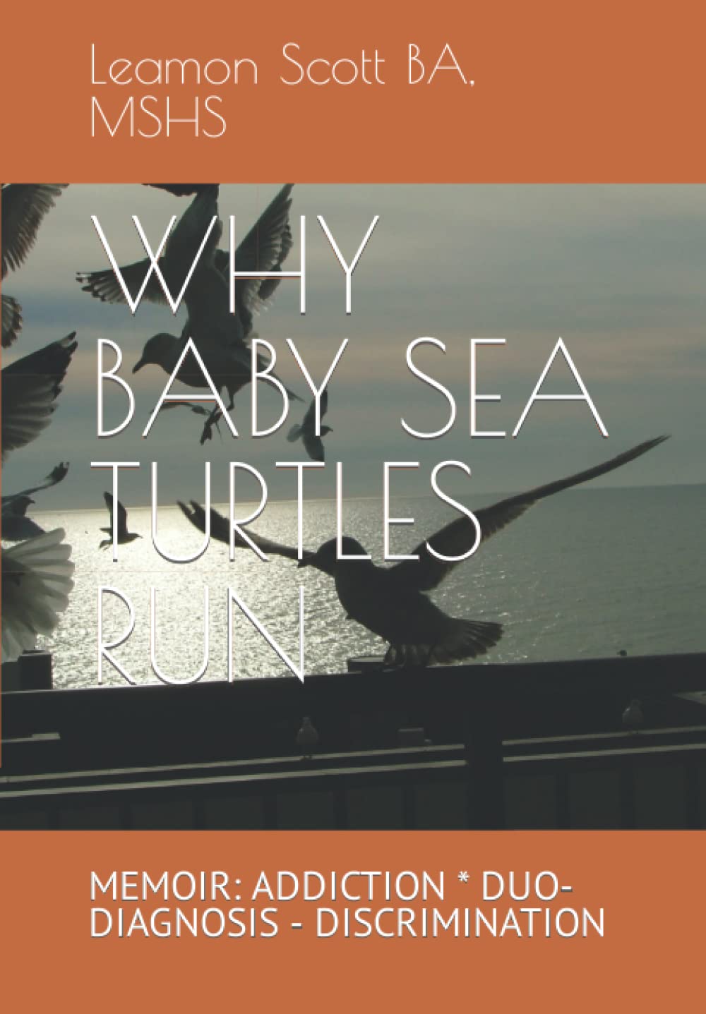 Amazon.com: WHY BABY SEA TURTLES RUN: MEMOIR: ADDICTION * DUO-DIAGNOSIS ...