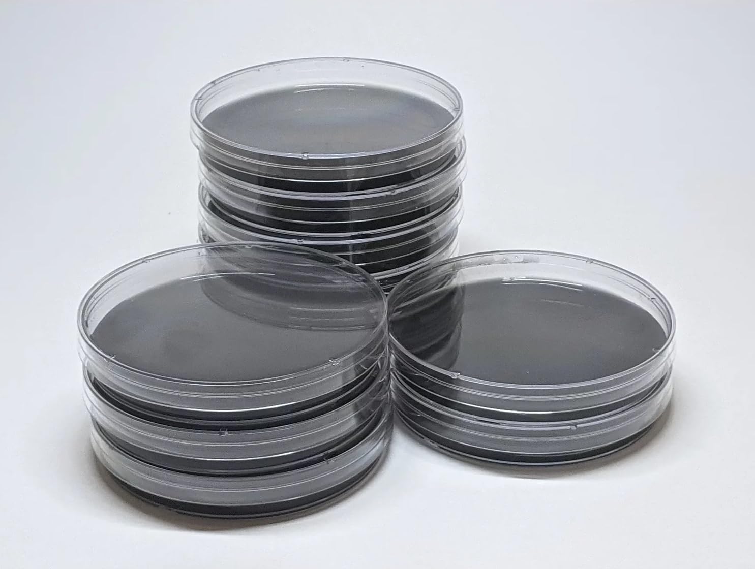 Potato Dextrose Agar Plates Prepoured Potato Dextrose Agar Pda Petri ...