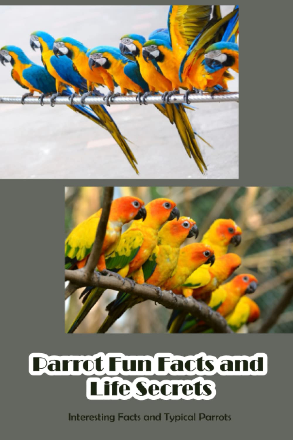 Buy Parrot Fun Facts and Life Secrets: Interesting Facts and Typical ...