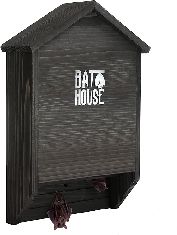 Amazon.com : Bat Houses for Outdoors - 15" Big Bat Box 2 Chamber Cedar ...