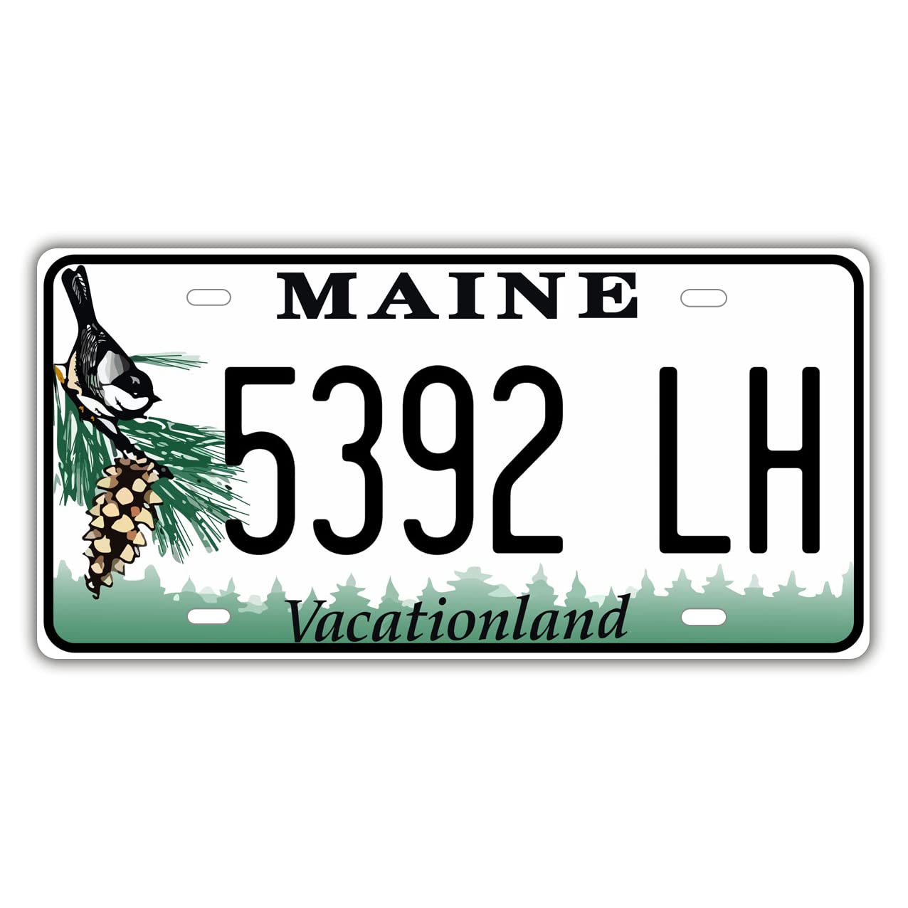 Amazon.com: Replica License Plate of US States, Embossed Novelty Metal ...