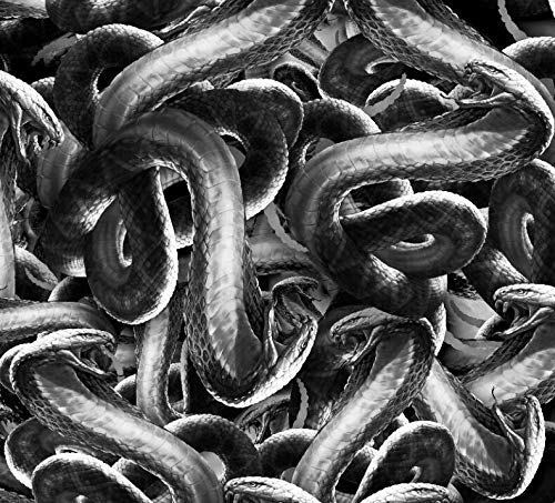 Amazon.com: Hydrographic Film Snake Pit Hydro dip Dipping