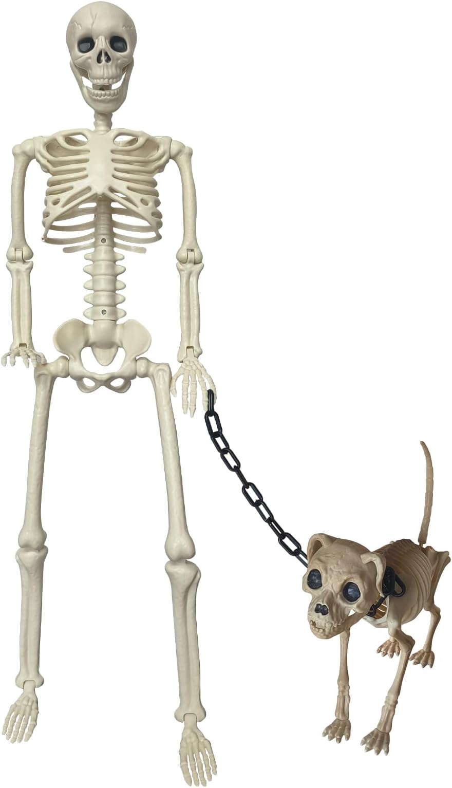 Amazon.com: Velasko Skeleton Decor 36 Inches High Full Body Posable ...